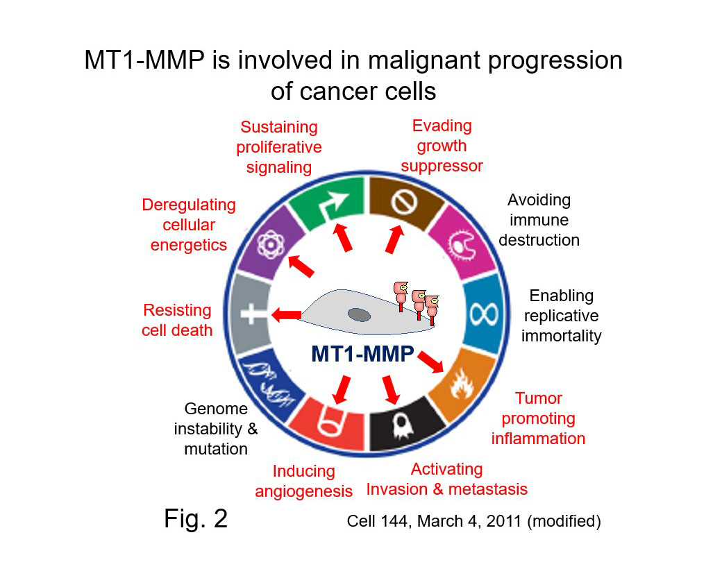 Koshikawa Laboratory